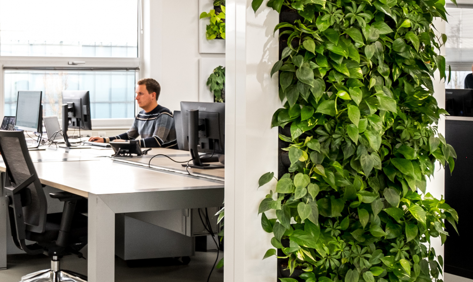 Increasing Employee Wellbeing Through Biophilic Design