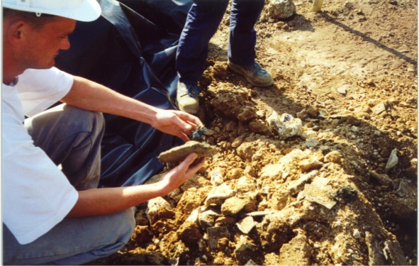 Unlocking the Potential of Former Publicly Owned Land | TWinFM