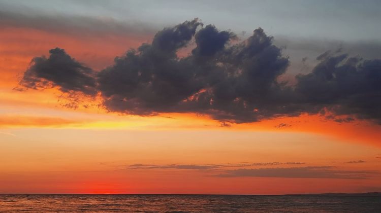 Energy Transition Update | TWinFM